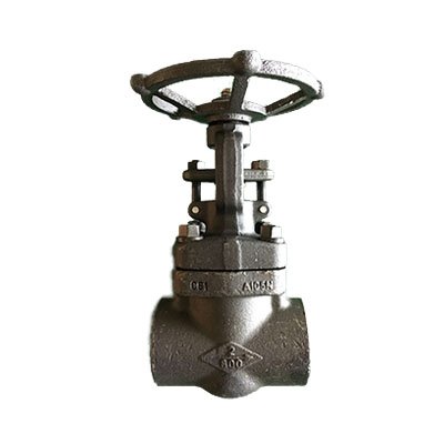 Forged steel valve|Forged gate valve-Flow Lead Valve